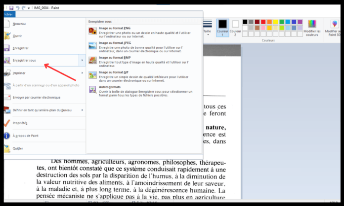 Comment transformer un pdf en jpeg avec paint